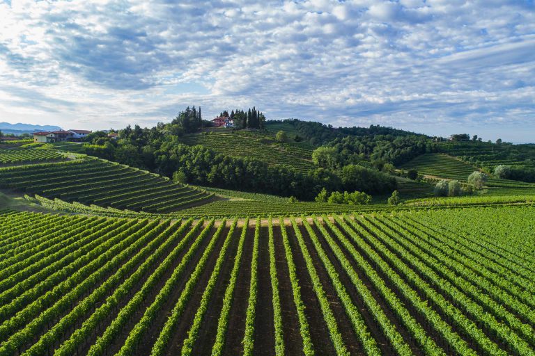 Tunella | Il Territorio